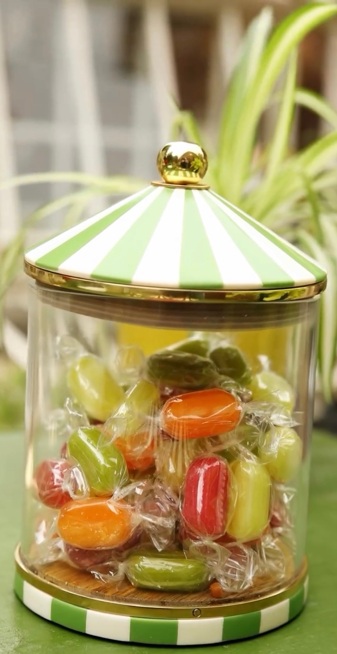Circus Storage Jar | Green and White – Tooka