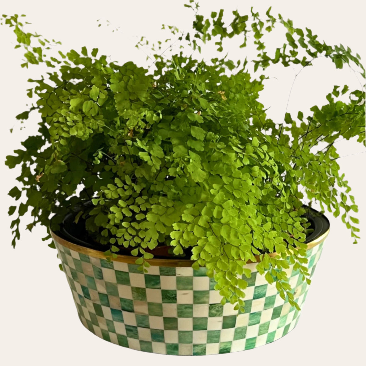 Round Inlay Planter | Large | Forest Green | Chequered – Tooka