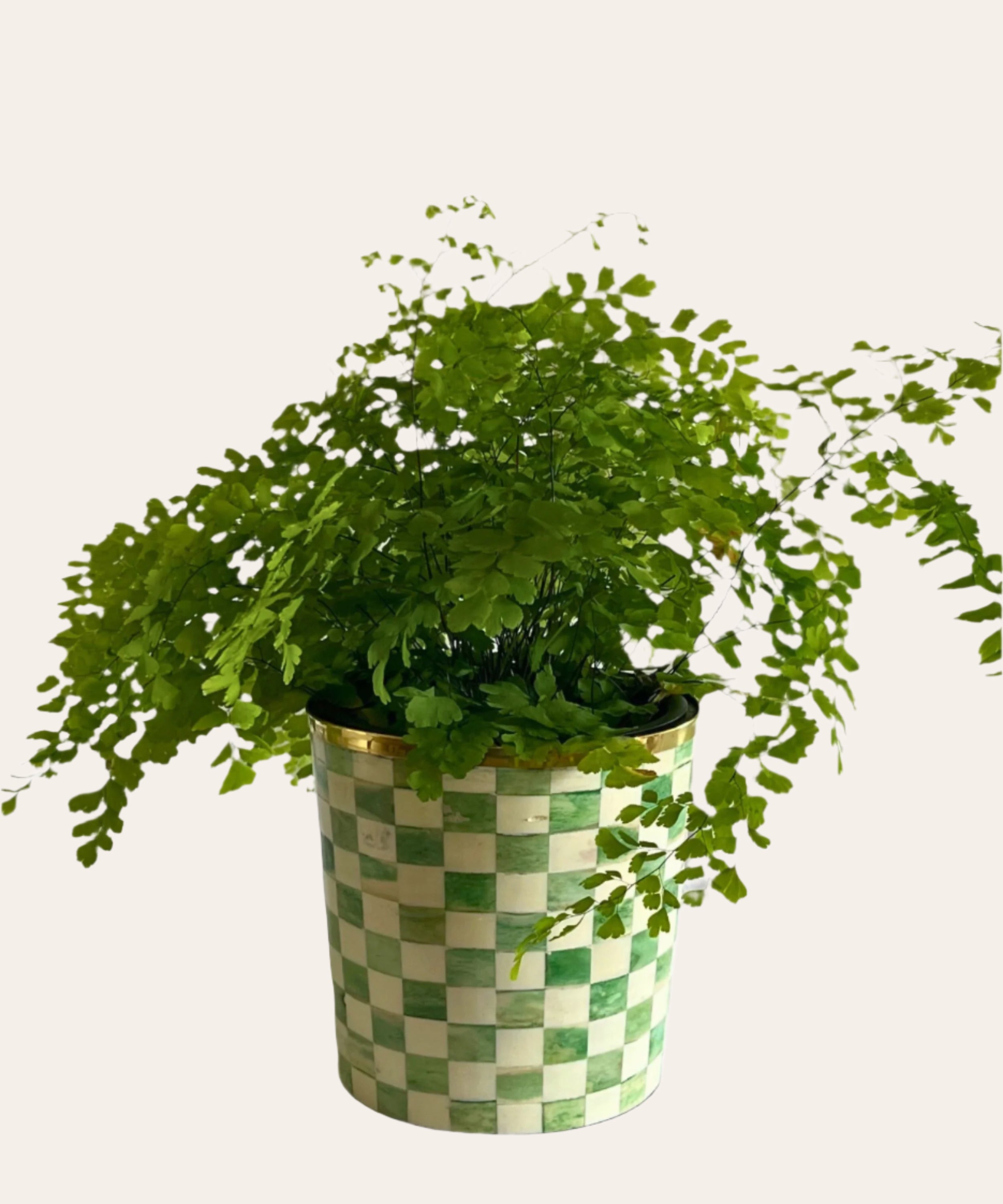 Round Inlay Planter | Medium | Green | Chequered – Tooka