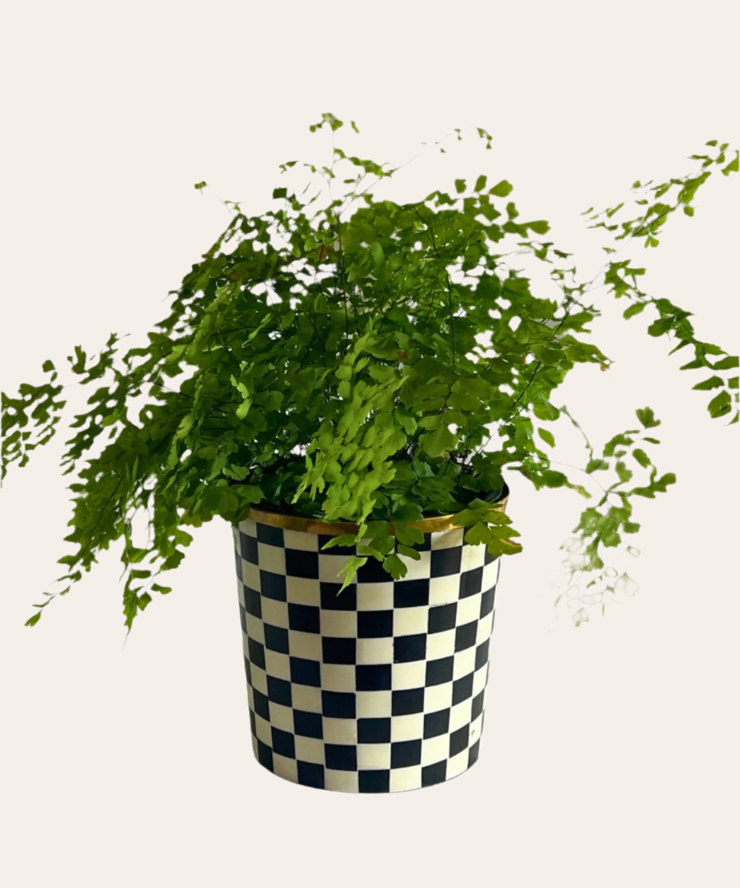 Round Inlay Planter | Medium | Black | Chequered – Tooka
