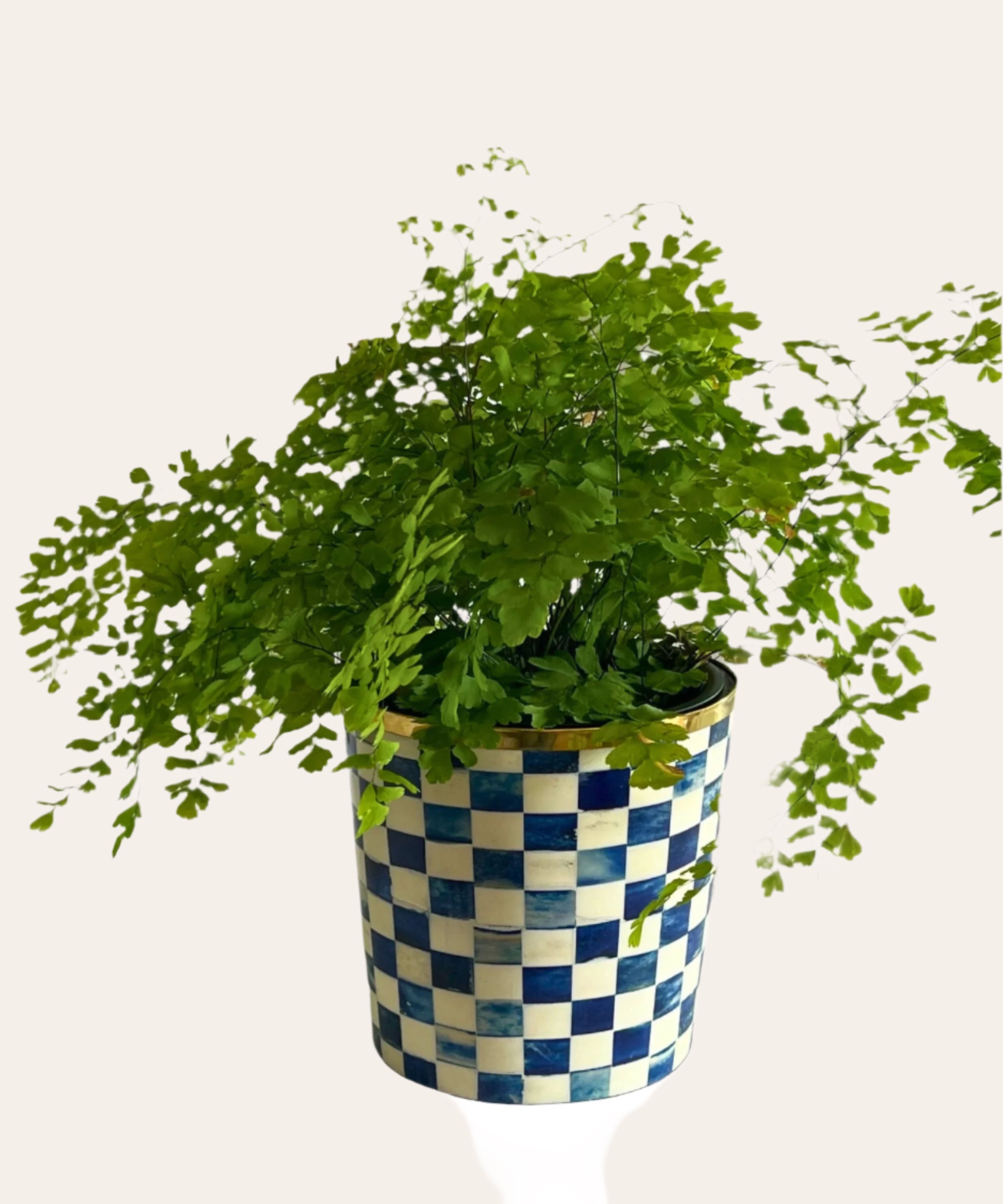 Round Inlay Planter | Medium | Blue | Chequered – Tooka