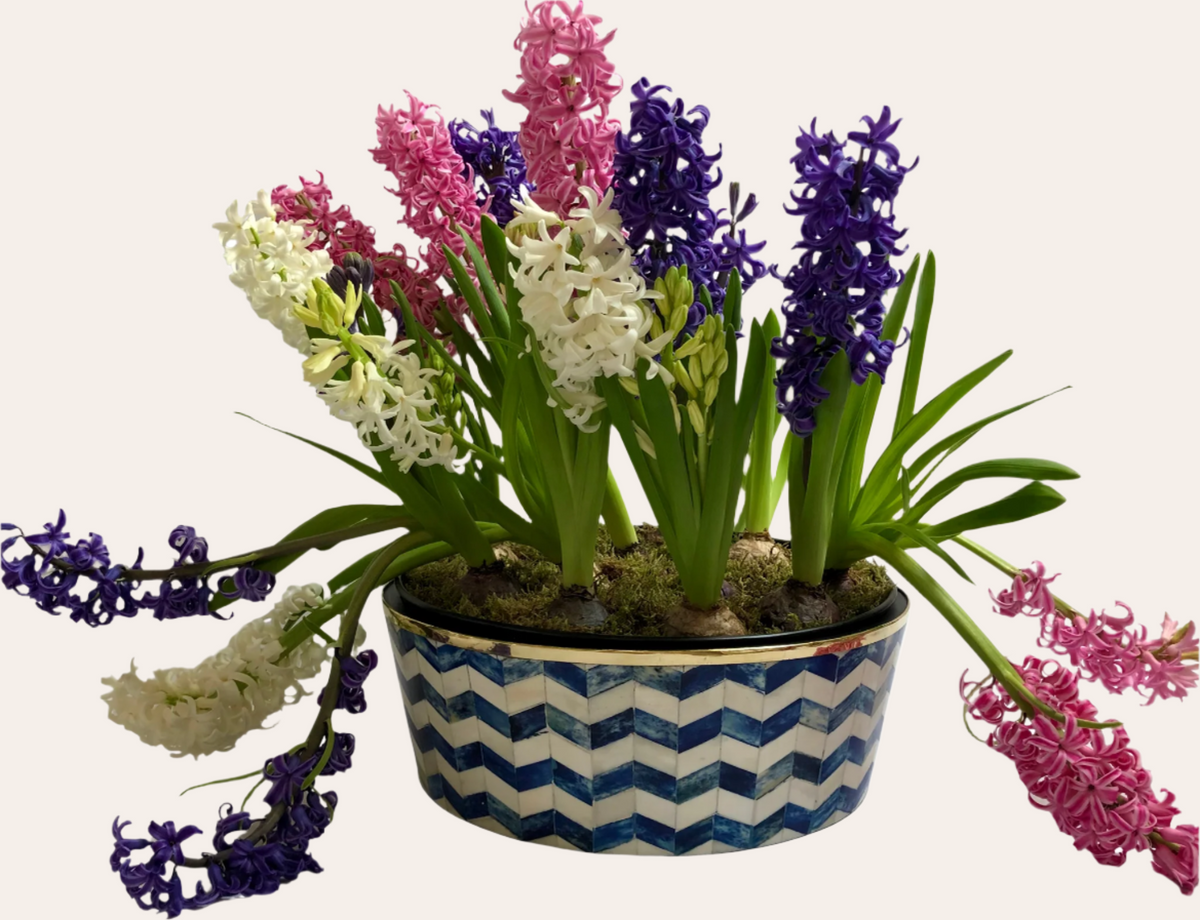 Round Inlay Planter | Large | Navy Blue | Chevron – Tooka