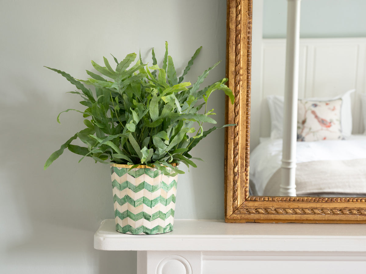 Round Inlay Planter | Medium | Forest Green | Chevron – Tooka